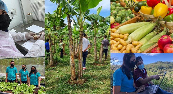 BIBB / Berufsbildung international